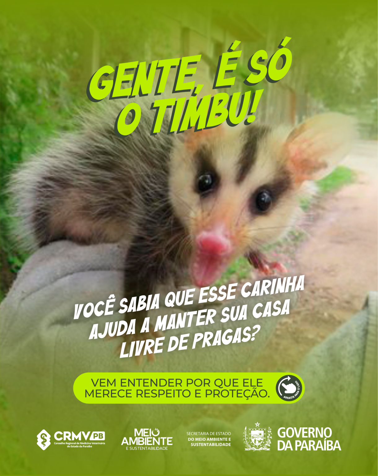 Campanha une forças para proteger o timbu, aliado no controle de pragas ...